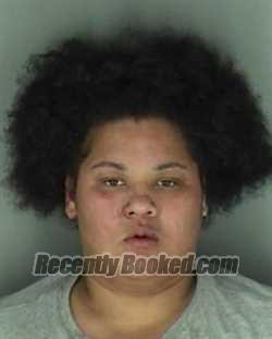 Recent Booking / Mugshot for Kelli Ann Potts in Shawnee County, Kansas