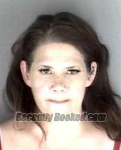 Recent Booking / Mugshot for Jolene Renee Ogden in Shawnee County, Kansas
