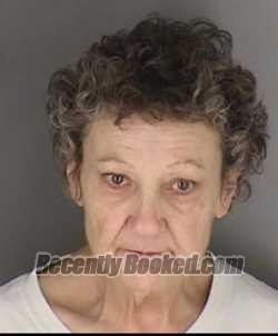 Recent Booking / Mugshot for Rose Ann Wilson in Shawnee County, Kansas