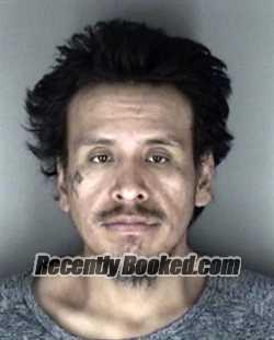 Recent Booking / Mugshot for Alvin Patrick Junior Horselooking in ...