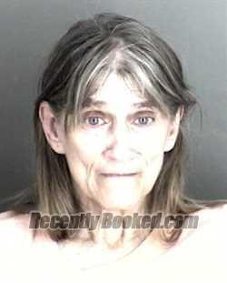 Recent Booking / Mugshot for Robin Louise Ramsey in Shawnee County, Kansas