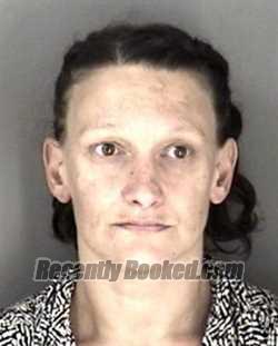 Recent Booking / Mugshot for Amy Nichole Andrews in Shawnee County, Kansas