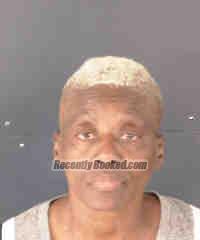 Recent Booking / Mugshot for ERICA RENEE RAINEY in Sarasota County, Florida