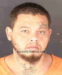 Recent Booking / Mugshot for DAVID MICHAEL JOHNSON in Sarasota County ...