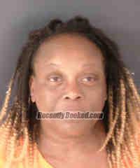 Recent Booking / Mugshot for SERENA DAVIS NELSON in Sarasota County ...