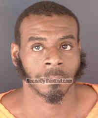 Recent Booking / Mugshot for JAMIE LEE MCCALL in Sarasota County, Florida