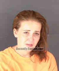 Recent Booking / Mugshot for NATALIIA ARAB in Sarasota County, Florida