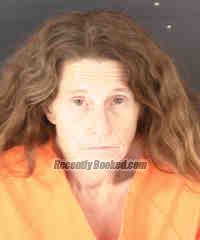 Recent Booking / Mugshot for NICOLE GEORGI SERBECK in Sarasota County ...