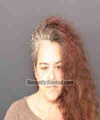 HEATHER LYN OBERG Arrest Record & Booking Info – Sarasota County ...