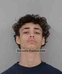 Recent Booking / Mugshot for ELIJAH MICHAEL PITTS in Sarasota County ...