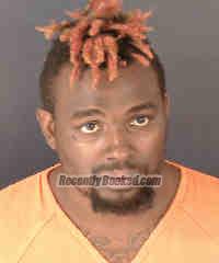 Recent Booking / Mugshot for DENNIS SHELDON MARTIN in Sarasota County ...