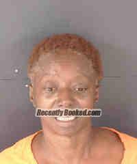 Recent Booking / Mugshot for SANDRA DIANE MCRAE in Sarasota County, Florida