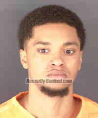 Recent Booking / Mugshot for ARAMIS ALEXANDER HOLTE BELL in Sarasota ...