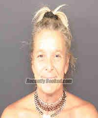 Recent Booking / Mugshot for BRIDGET MARIA WELCH in Sarasota County ...