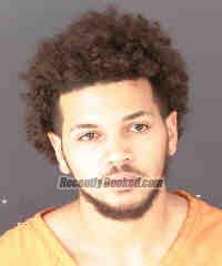 Recent Booking / Mugshot for TYSEAN JAMAR ROSSER in Sarasota County ...