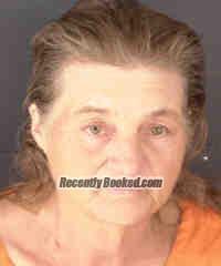 Recent Booking / Mugshot for LISA JOANNE HOFACKER in Sarasota County ...