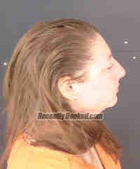 Recent Booking / Mugshot for AMBER NICOLE PERSAUD in Sarasota County ...