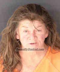 Recent Booking / Mugshot for KATE DOROTHY WOLFE in Sarasota County, Florida