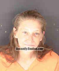 Recent Booking / Mugshot for JENNIFER PAHL HIGEL in Sarasota County ...