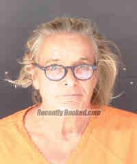 Recent Booking / Mugshot for BRIDGET MARIA WELCH in Sarasota County ...