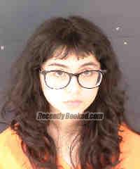 Recent Booking / Mugshot for JILL ALEXIS CLEMENTE GARCIA in Sarasota ...