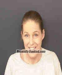 Recent Booking / Mugshot for TRACY MARIE HOLLAND in Sarasota County ...