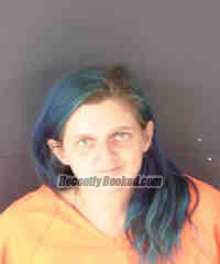 Recent Booking / Mugshot for MEGAN KAYLA JOHNSON in Sarasota County ...