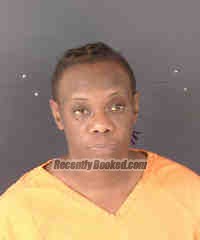 Recent Booking / Mugshot for JEANINE HAZEL STANFORD in Sarasota County ...