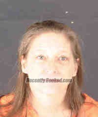 Recent Booking / Mugshot for JENNIFER PAHL HIGEL in Sarasota County ...