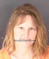 Recent Booking / Mugshot for ELIZABETH ANN MATSON in Sarasota County ...