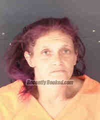 Recent Booking / Mugshot for JEAN ELIZABETH TAYLOR in Sarasota County ...