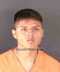 Recent Booking / Mugshot for FAUSTINO SERRANO AYALA SERRANO in Sarasota ...