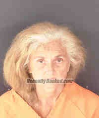 Recent Booking / Mugshot for LAYLA FOCO in Sarasota County, Florida