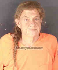 Recent Booking / Mugshot for MICHELLE PATRICIA HILEMAN in Sarasota ...