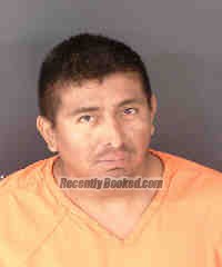 Recent Booking / Mugshot for LUIS MORALES ANGEL GALEANA MORALES in ...