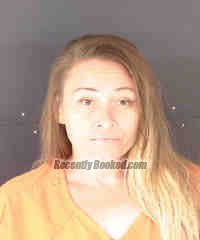 Recent Booking / Mugshot for JENNIFER ELIZABETH SCHNEIDER in Sarasota ...