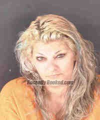 Recent Booking / Mugshot for BRITTANY MICHELE DAVIS in Sarasota County ...