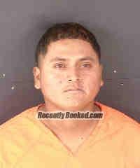 Recent Booking / Mugshot for HARLEY BENJAMIN CHOW WILSON in Sarasota ...