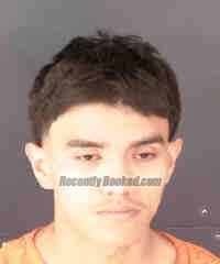 Recent Booking / Mugshot for ARMANDO GABRIEL CASTILLO in Sarasota ...