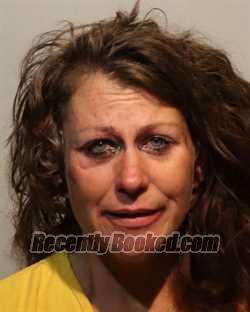Recent Booking / Mugshot for JOY GILSTRAP in Seminole County, Florida
