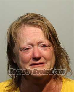 Recent Booking / Mugshot for DEBRA BROWN in Seminole County, Florida