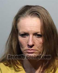 Recent Booking / Mugshot for SANDY FLYNN in Seminole County, Florida