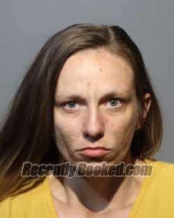 Recent Booking / Mugshot for TARA SMITH in Seminole County, Florida