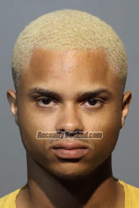 Recent Booking / Mugshot for JAVON JEREMIAH NANCE-GASTON in Seminole ...