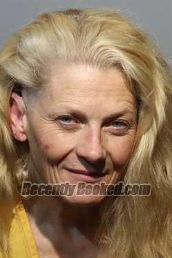 Recent Booking / Mugshot for LISA RENEE TARR in Seminole County, Florida