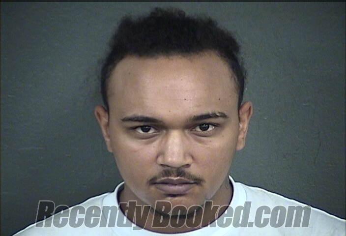 Recent Booking / Mugshot for NOAH DAVID HAMILTON-BEARD in Wyandotte ...