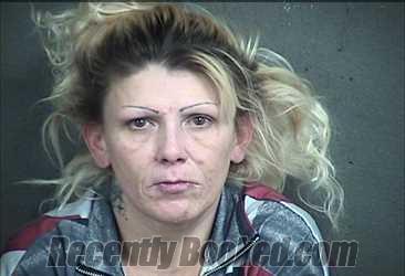 Recent Booking / Mugshot for LATRICIA N STODDARD in Wyandotte County ...