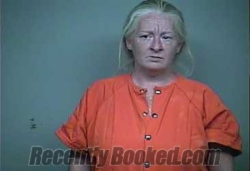 Recent Booking / Mugshot for DIANA JEAN HEDRICK in Adams County, Ohio