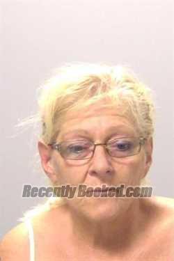 Recent Booking / Mugshot for Lisa Kaye Cook in Allen County, Ohio