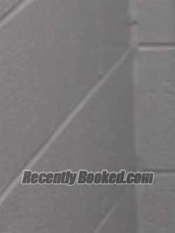 Recent Booking / Mugshot for Tina Marie Hall in Allen County, Ohio